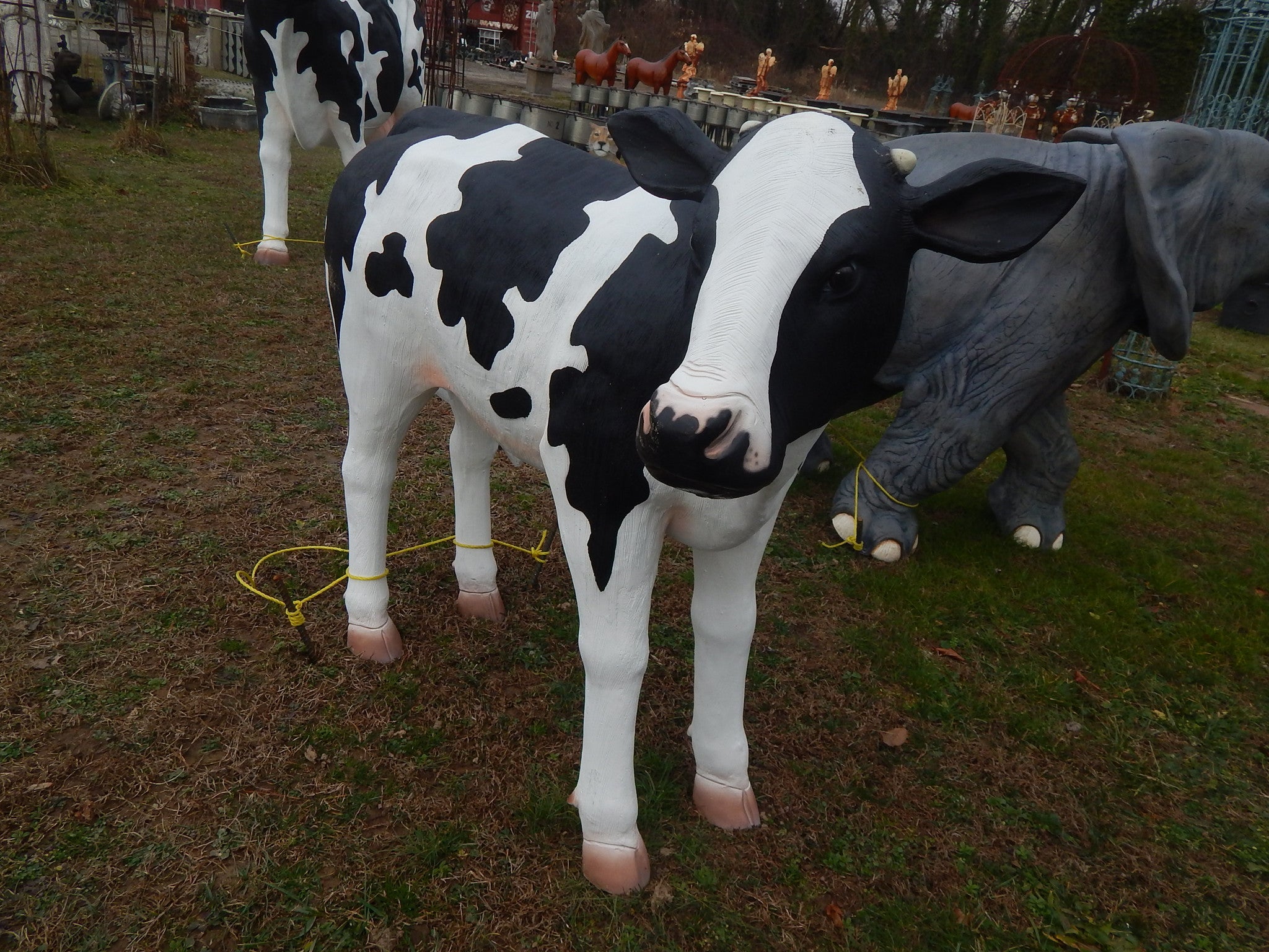 Calf Life Size Medium – Jantiques LLC.