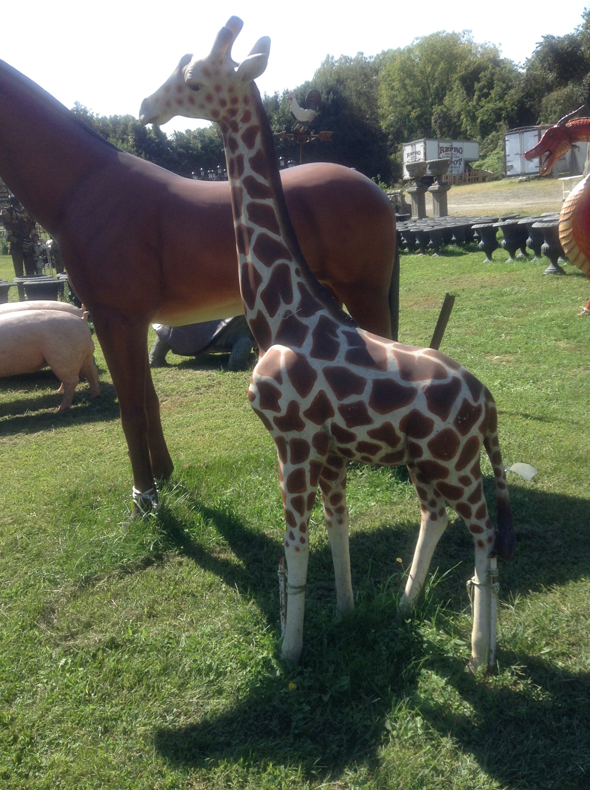 Statue - Life Size Baby Giraffe – Jantiques LLC.
