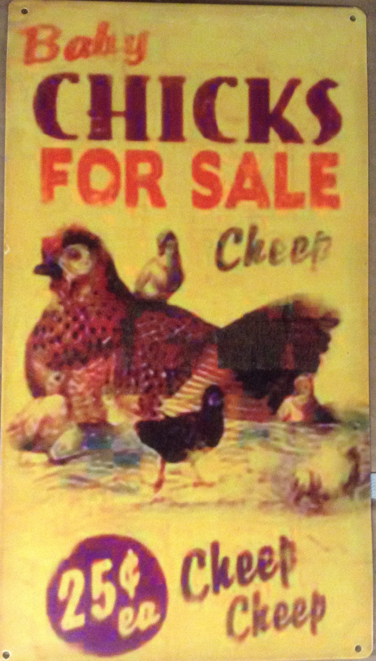 Flat Tin Sign - Baby Chicks for Sale – Jantiques LLC.